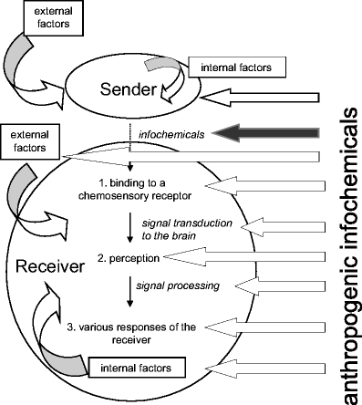 Chemical communication by infochemicals | SpringerLink