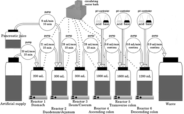 Impact of chronic exposure to low doses of chlorpyrifos on the ...