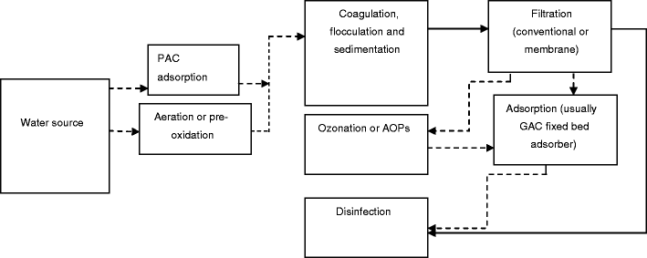 The fate and importance of organics in drinking water treatment: a ...