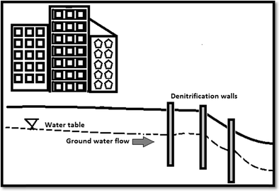 Remediation of nitrate-contaminated water by solid-phase ...