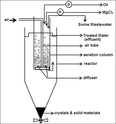 Assessing the feasibility of N and P recovery by struvite precipitation ...