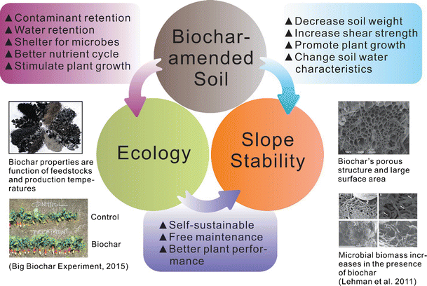 Feasibility of biochar application on a landfill final cover—a review ...