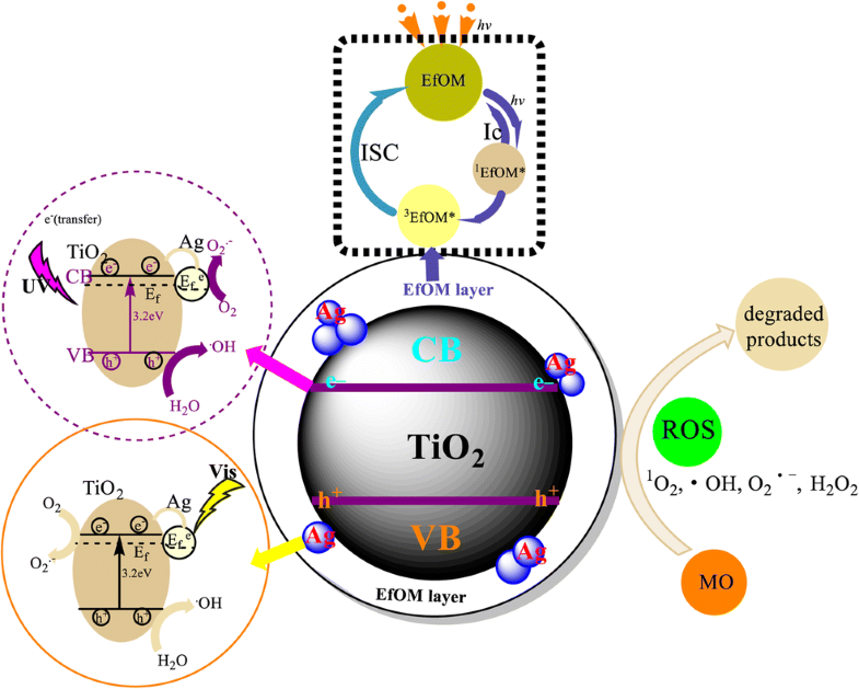 Photocatalytic degradation of dye by Ag/TiO2 nanoparticles prepared ...