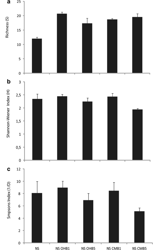 Effects of biochar on copper immobilization and soil microbial communities in a metal ...