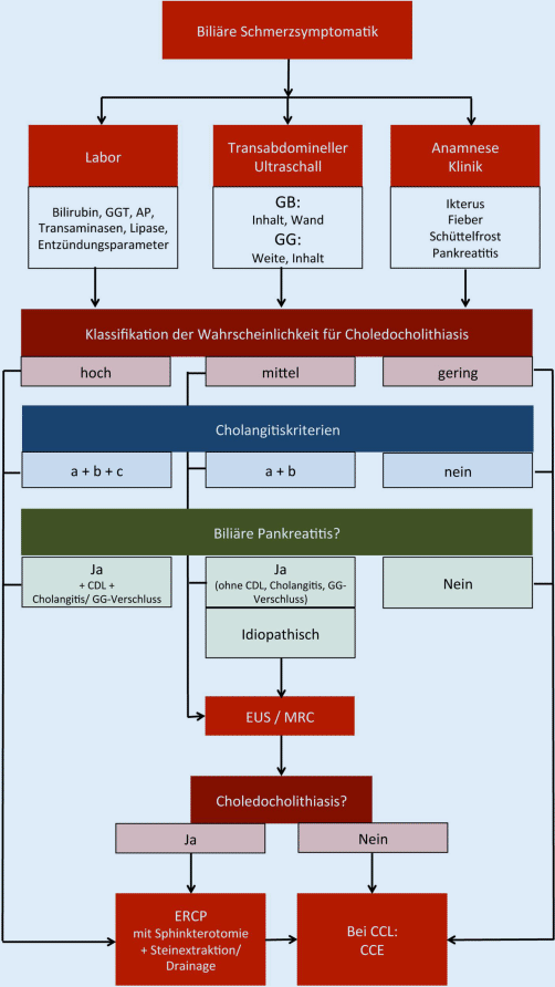Choledocho- und Cholezystolithiasis | SpringerLink