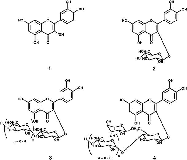 Anti-allergic effects of enzymatically modified isoquercitrin (α ...