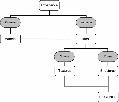 A phenomenological approach to experiences with technology: current ...