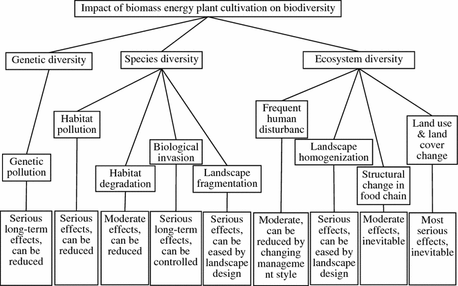 The impact of biofuel plantation on biodiversity: a review | SpringerLink