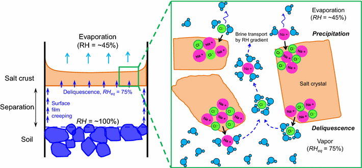 Formation and development of salt crusts on soil surfaces | SpringerLink