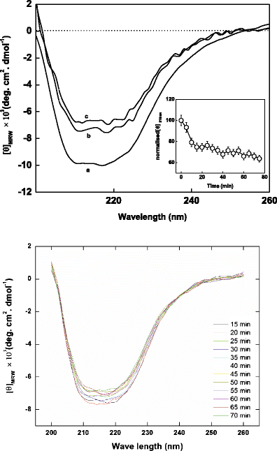 Reaction Kinetics of the Invertase from Yeast ( S. Cerevisiae ...