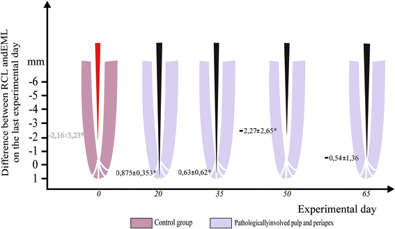 Electronic root canal length measurement before and after ...