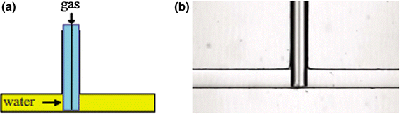 A novel technology: microfluidic devices for microbubble ultrasound ...