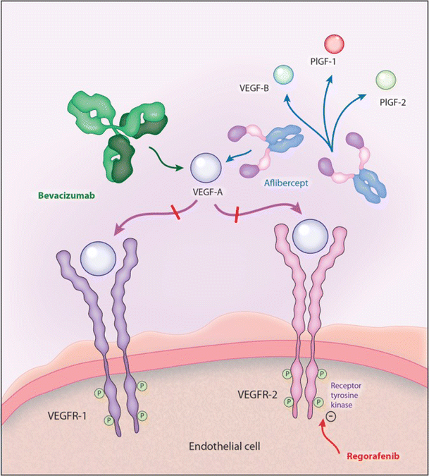 Aflibercept, a New Way to Target Angiogenesis in the Second Line ...