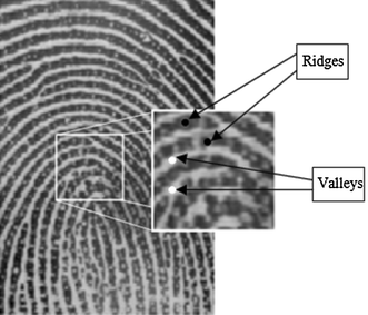 Real-time fingerprint image enhancement with a two-stage algorithm and block–local normalization ...