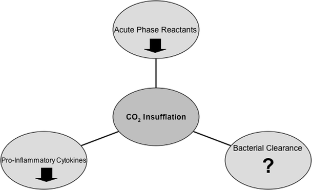 Physiological Effects of Pneumoperitoneum | SpringerLink