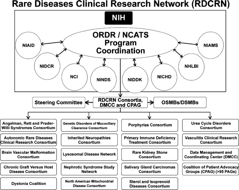 The Rare Diseases Clinical Research Network’s Organization and Approach ...