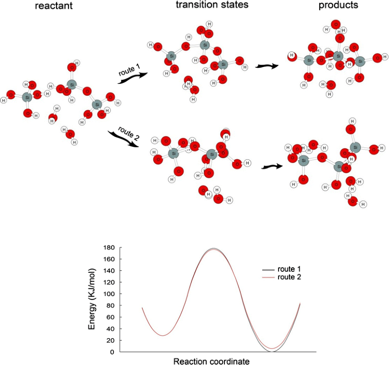 Equilibrium and kinetic Si isotope fractionation factors and their ...