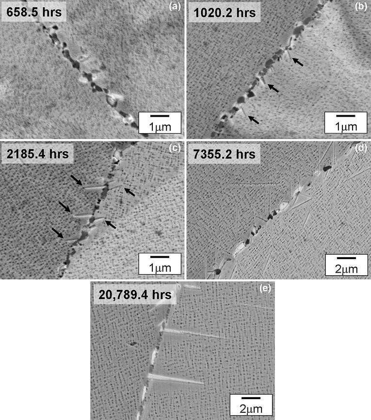 The Role of Eta Phase Formation on the Creep Strength and Ductility of ...