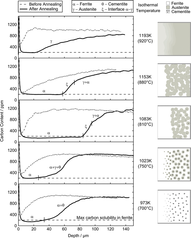 Influence of Carbide Morphology and Microstructure on the Kinetics of ...