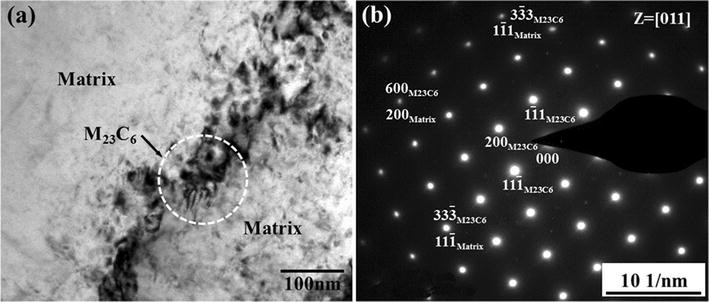 Intergranular M23C6 Carbide Precipitation Behavior and Its Effect on ...