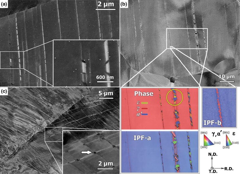 Deformation Microstructure and Deformation-Induced Martensite in ...