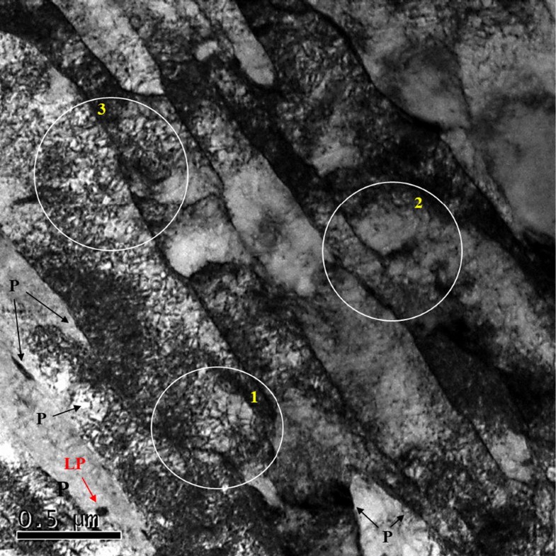 Evolution of Microstructure During Double-Sided Friction Stir Welding ...