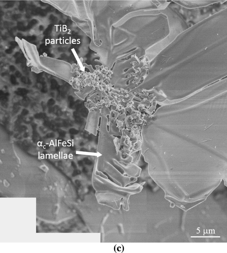 The Role of Grain Refiner in the Nucleation of AlFeSi Intermetallic ...