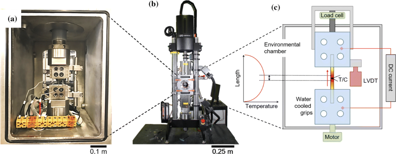 The Kinetics of Primary Alpha Plate Growth in Titanium Alloys ...