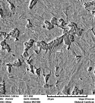 Comparison of Microstructure and Surface Properties of AISI 1045 Steel ...