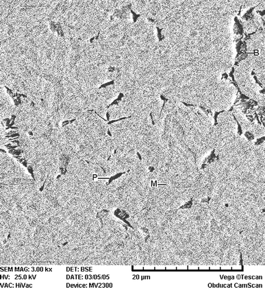 Comparison of Microstructure and Surface Properties of AISI 1045 Steel ...