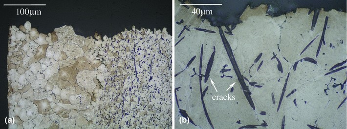 Microstructure and Strength of Al2O3 and Carbon Fiber Reinforced 2024 ...
