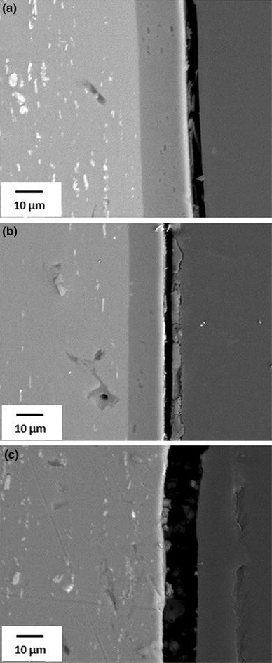 Effect of Surface Roughness of an Electropolished Aluminum Substrate on ...