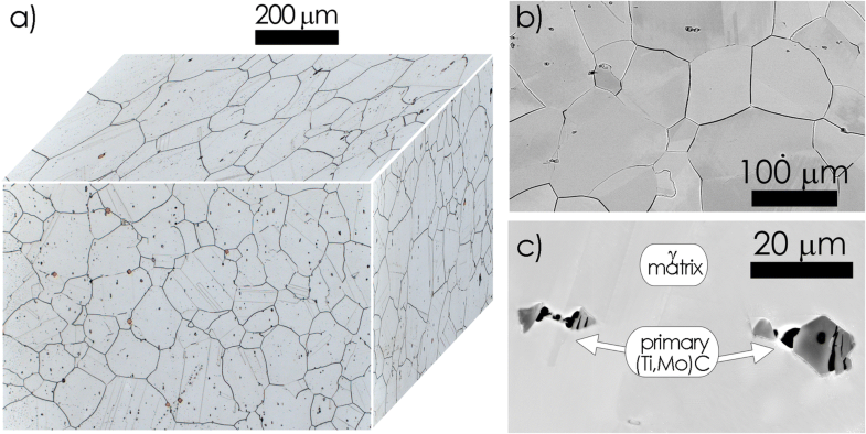 Microstructure and Hardness Evolution in Haynes 282 Nickel-Based ...