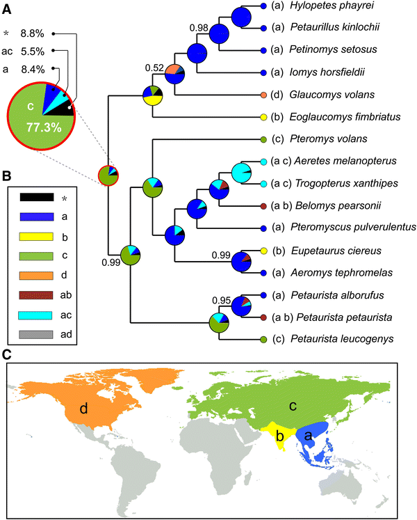 The Evolution and Paleobiogeography of Flying Squirrels (Sciuridae ...