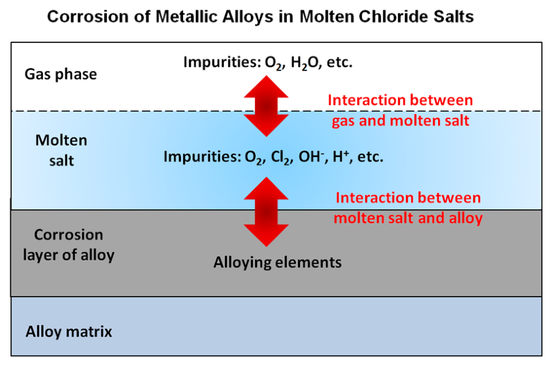 Corrosion behavior of metallic alloys in molten chloride salts for ...