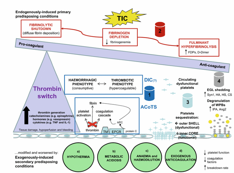 The current understanding of trauma-induced coagulopathy (TIC): a ...