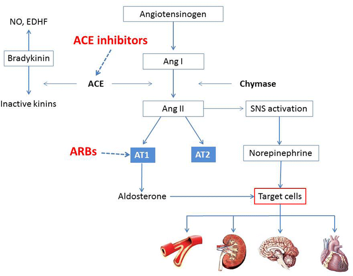 The benefit of angiotensin AT1 receptor blockers for early treatment of ...
