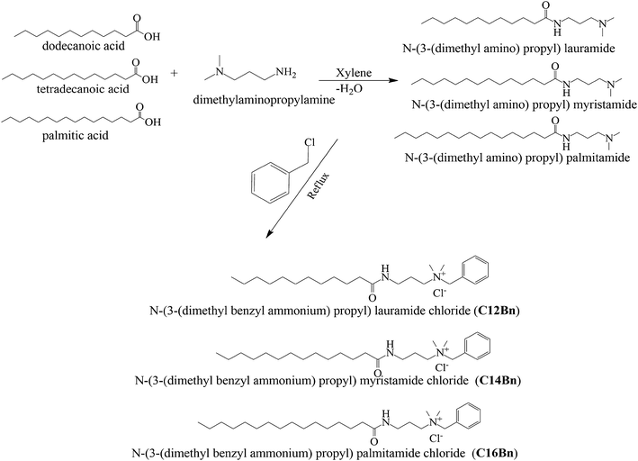 Surface Parameters and Biological Activity of N-(3-(Dimethyl Benzyl ...