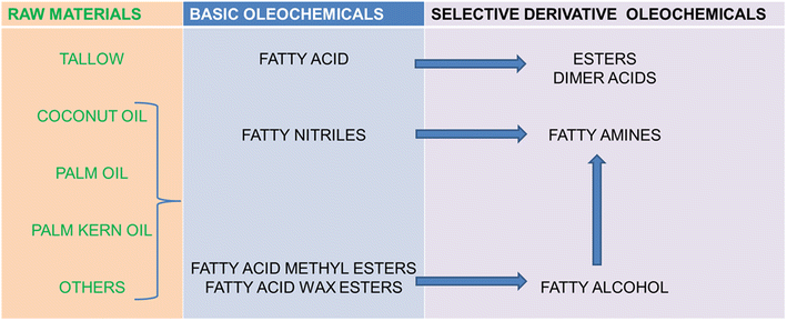 Catalysts for Fatty Alcohol Production from Renewable Resources ...