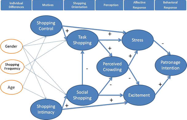 How consumer shopping orientation influences perceived crowding ...