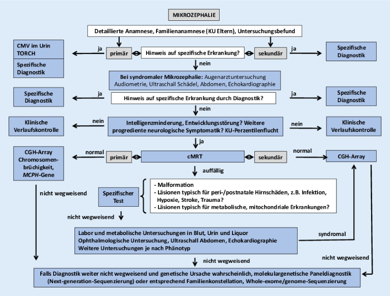 Neuropädiatrische Differenzialdiagnostik der Mikrozephalie im Kindesalter | SpringerLink