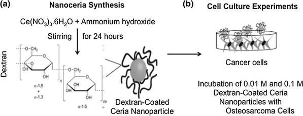 The Role of Dextran Coatings on the Cytotoxicity Properties of Ceria ...