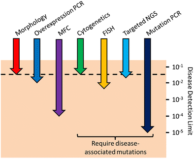 Minimal Residual Disease in Acute Myeloid Leukemia | SpringerLink