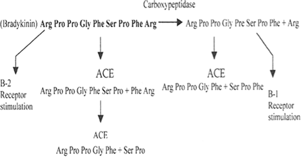 ACE Inhibitor–Induced Angioedema | SpringerLink
