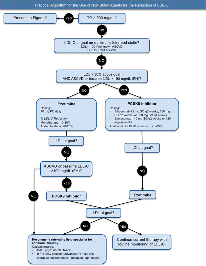 A Clinical Guide to Combination Lipid-Lowering Therapy | SpringerLink