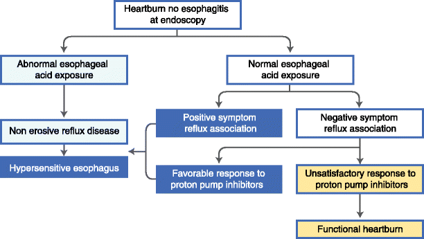 Functional Heartburn: Definition and Management Strategies | SpringerLink