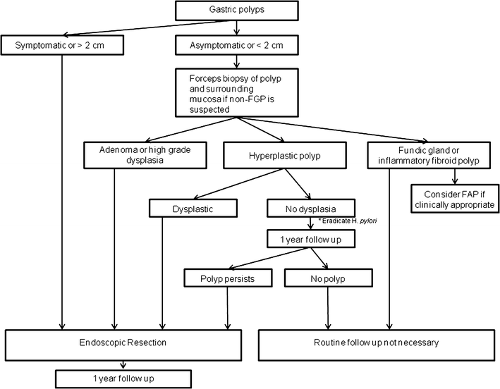 Endoscopic Ultrasonographic Assessment of Gastric Polyps and Endoscopic ...