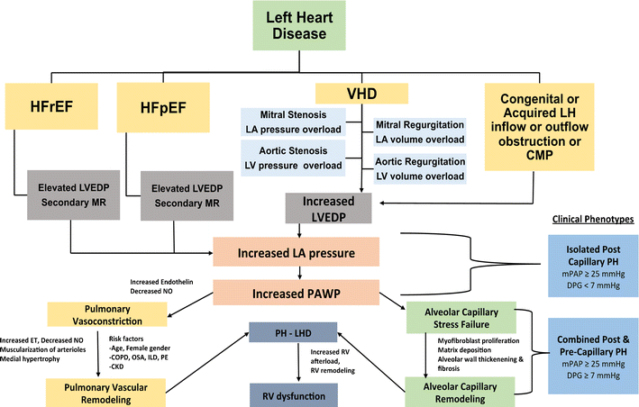 Evolving Concepts of Pulmonary Hypertension Secondary to Left Heart ...