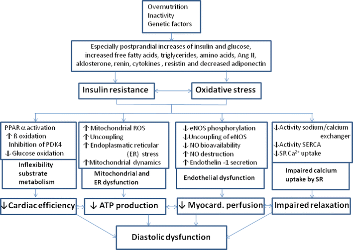 Cardiometabolic Syndrome and Increased Risk of Heart Failure | SpringerLink