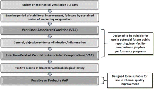 A 2015 Update on Ventilator-Associated Pneumonia: New Insights on Its ...